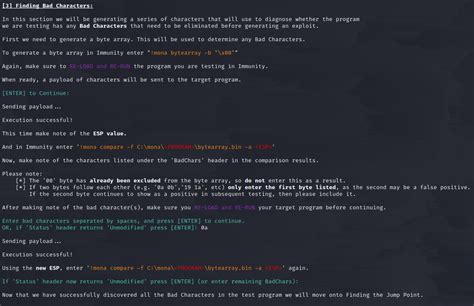 github vaarg acarine acarine is a buffer overflow utility and guide