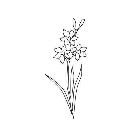 One Continuous Line Drawing Beauty Fresh Narcissus Of Garden Logo