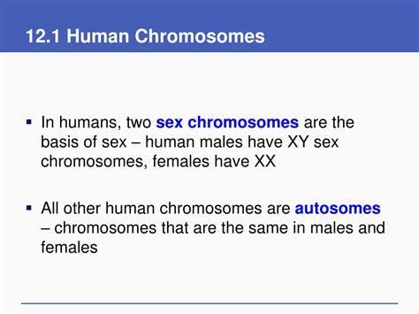 ppt chromosomes and human inheritance powerpoint presentation free