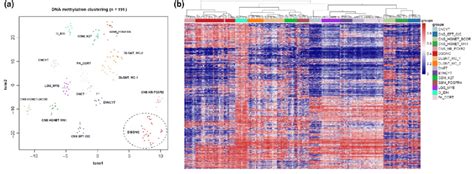 Dna Methylation Profiling Of Dgonc T Sne A And Unsupervised