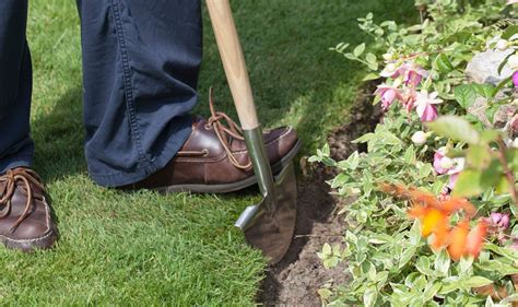 24 Creative Garden Edging Ideas To Elevate Your Flower Beds Burlyhome