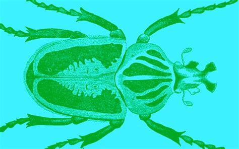 cockroachdb with java using jdbc dzone database
