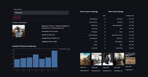 how to create an instagram profile analyzer app using python and