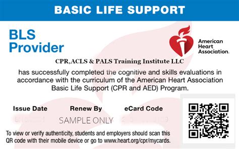 Courses Cpr And Bls Training Institute