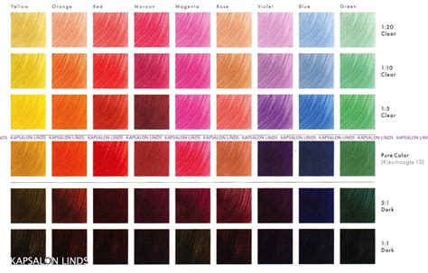 Keune Color Chameleon Haarverf Voor Originele Kleurrijke Kapsels