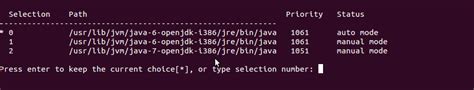 tomcat starting error after integrating solr in ubuntu stack overflow