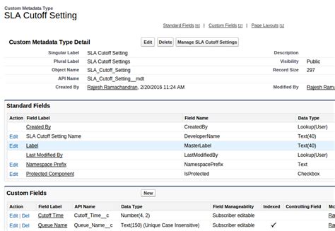 salesforce custom metadata creation and migration