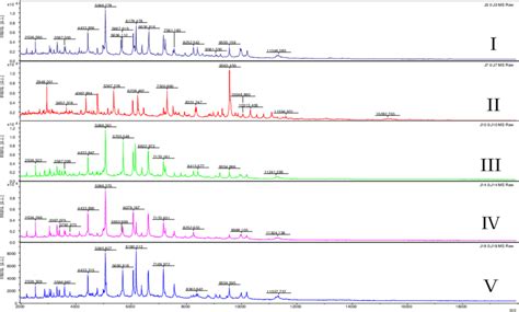 Maldi Tof Ms Fingerprinting Of Representative Bacteria Isolated From