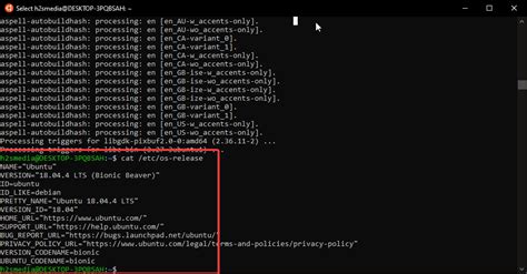 how to upgrade ubuntu 18 04 lts to 20 04 lts on wsl windows 10