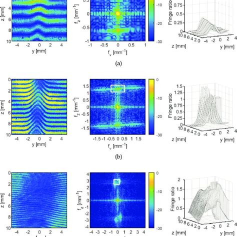 Interferograms Left Column Spatial Frequency Spectrum Middle