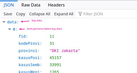 belajar python cara proses data json dengan python dari