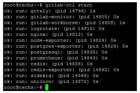 install and configure gitlab on ubuntu 14 04 with existing