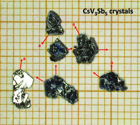 Csv 3 Sb 5 Single Crystals Used In Muon Spin Rotation Relaxation μsr