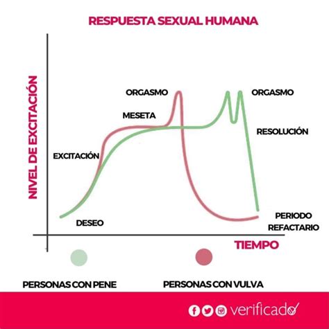 Rompiendo El Mito 8 Mitos Sobre El Orgasmo Femenino