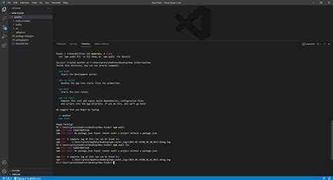 reactjs no package json found cannot audit a project without a