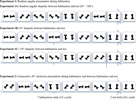 infants looking times in a 2‐d mental rotation task
