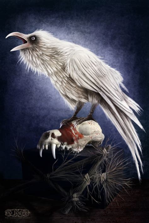 Incredible Compilation Of White Crow Images In Full 4k Resolution Over