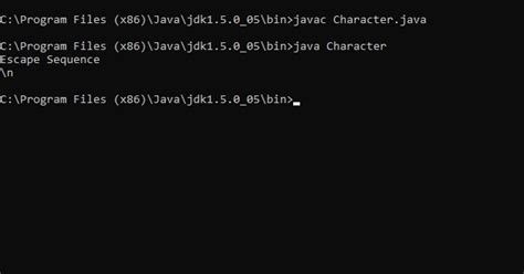 how to print escape character n in java