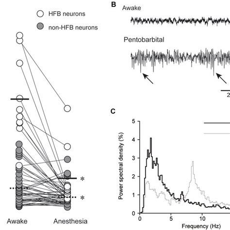 A Pentobarbital Induced Modulation Of Spontaneous Firing Frequency In