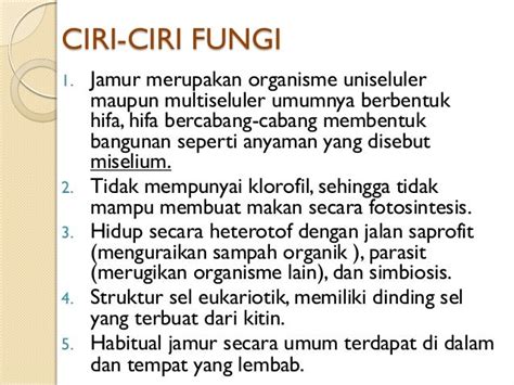 Gambar Mikroorganisme Gambar Struktur Jamur Fungsinya Di Rebanas Rebanas