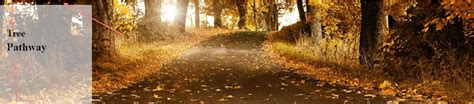 html responsive web banner with background image and