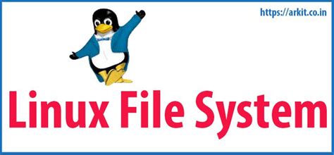 master the skills of linux file system and be successful tech