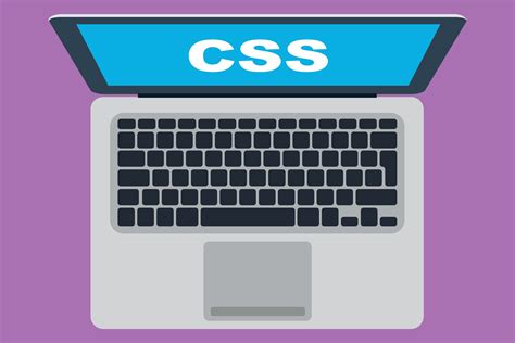 how to use css to set the height of an html element to 100