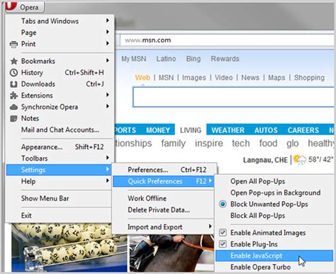 how do i enable javascript in my browser for skype skype support