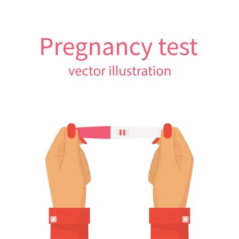 Pictures Of Ovulation Illustrations Royalty Free Vector Graphics