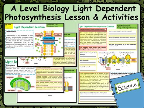 Alevel Biology Light Dependent Reaction Of Photosynthesis Lesson