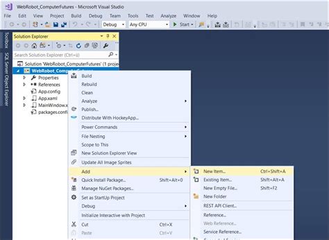 add wpf local sql database to application and connect data codedocu