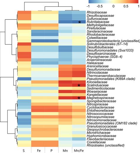 The Correlation Heatmap Illustrates The Relationships Between Relative