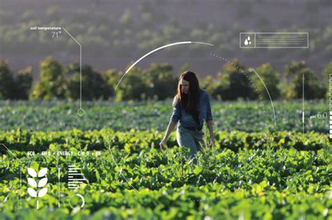 Un Nuevo Modelo De Agronegocio Pone En Alerta La Soberanía Alimentaria