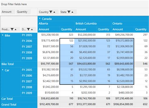 cell selection in wpf pivot grid control syncfusion