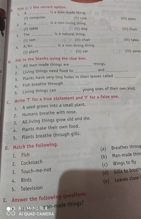 Plant B Fill In The Blanks Using The Clue Box Filo