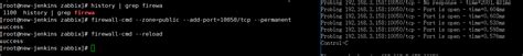 can‘t open pid file run zabbix zabbix agentd pid yet after start