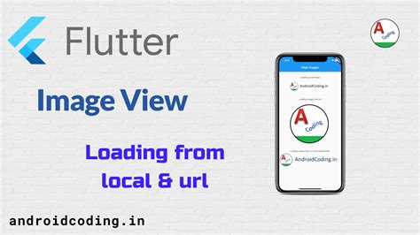 flutter image loading url local image
