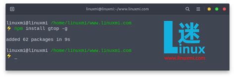 如何在 linux 上安装和使用图形监控工具 gtop linux迷