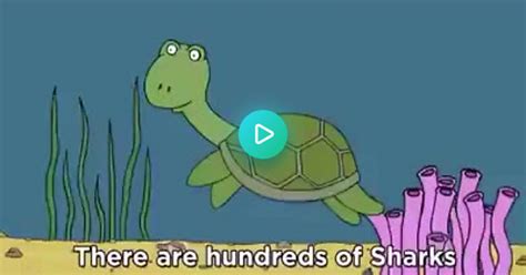 Reggae Shark Album On Imgur