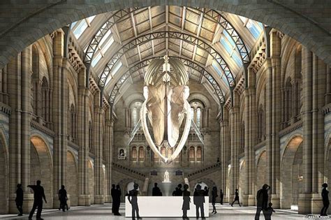 9 Reasons Why Dippy The Diplodocus Had To Go Londonist