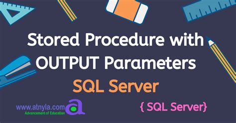 stored procedure with output parameters atnyla