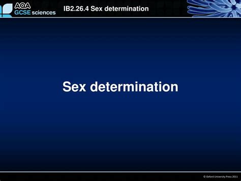 Ppt Sex Determination Powerpoint Presentation Free Download Id 3923101