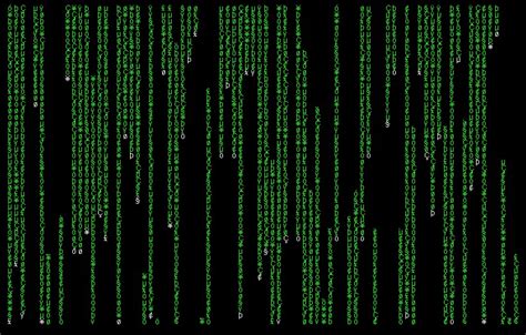 7 types of hackers you should know cybrary