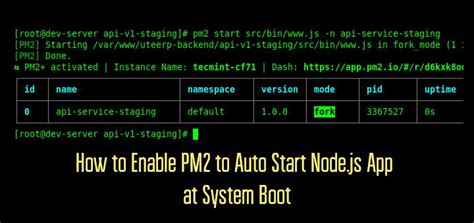 how to enable pm2 to auto start node js app at system boot