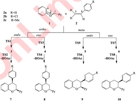 Scheme 1 The Calculated Possible Reaction Pathways For The Concerted