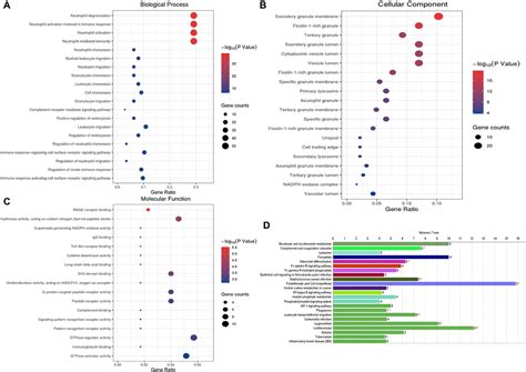 Identification And Validation Of Inferior Prognostic Genes Associated