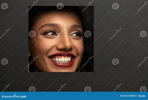 Beauty Brunette Woman With Perfect Makeup Beautiful Professional