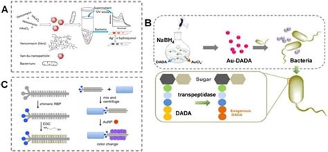 Biosensors Free Full Text Recent Advances In Colorimetric Sensors