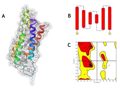Predicted 3d Structure Of Rxlr Effector A Predicted Three Dimensional