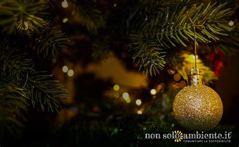 Albero Di Natale Sostenibile Ecco La Scelta Migliore Nonsoloambiente